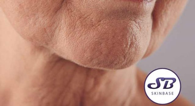 The SkinBase™ Beauty Blog